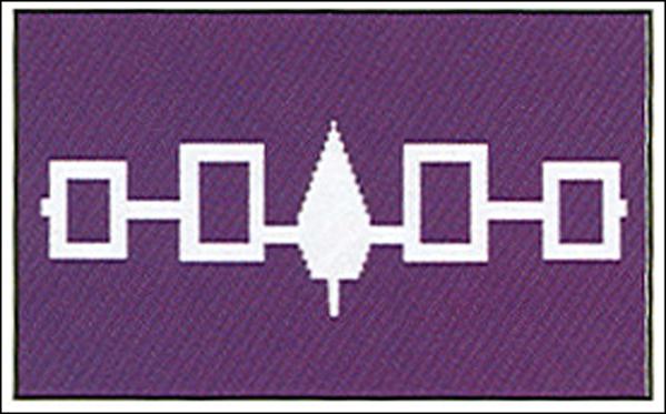 iroquois flag vector
