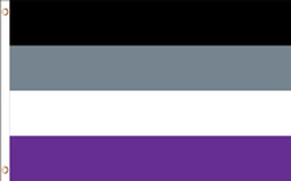 Rainbow A-Sexual Pride Flags |Flag Outlet. – Flag Outlet Ltd.